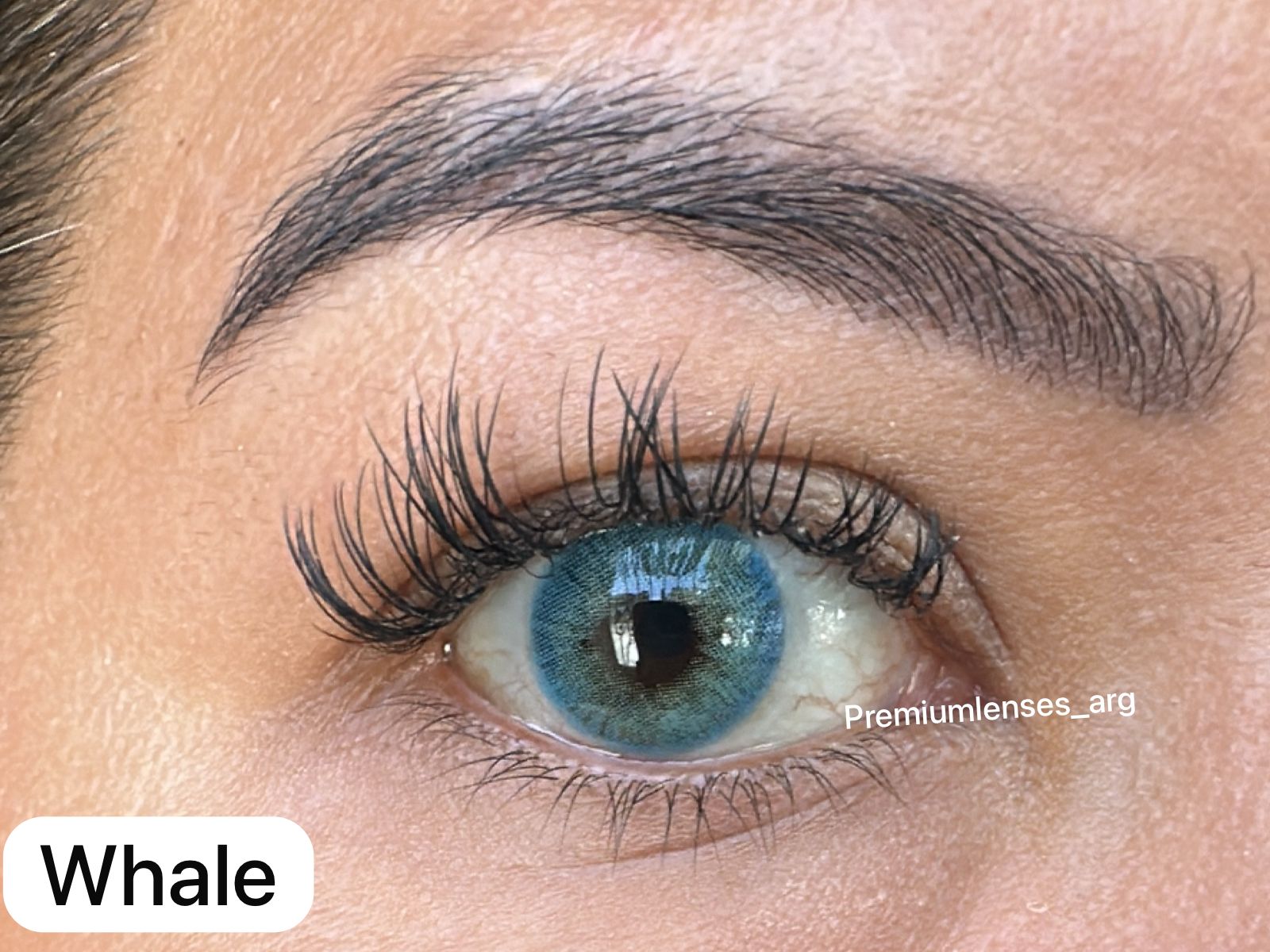Premium Lenses